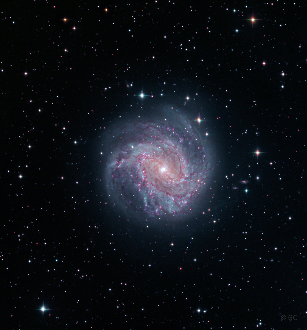 Southern Pinwheel (Messier 83) | Telescope Live
